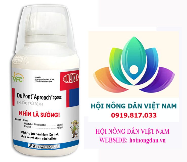 RINGGO L 20SC – THUỐC ĐẶC TRỊ BỆNH TRÊN CÂY TRỒNG