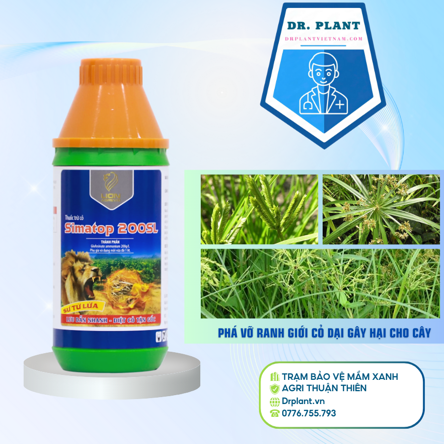 SIMATOP 200SL – PHÁ VỠ RANH GIỚI CỎ DẠI GÂY HẠI CÂY